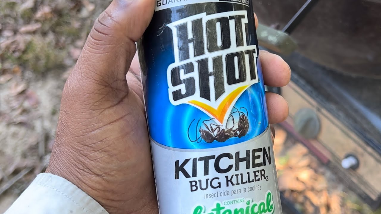Hot Shot Kitchen Bug Killer On Wasp - YouTube