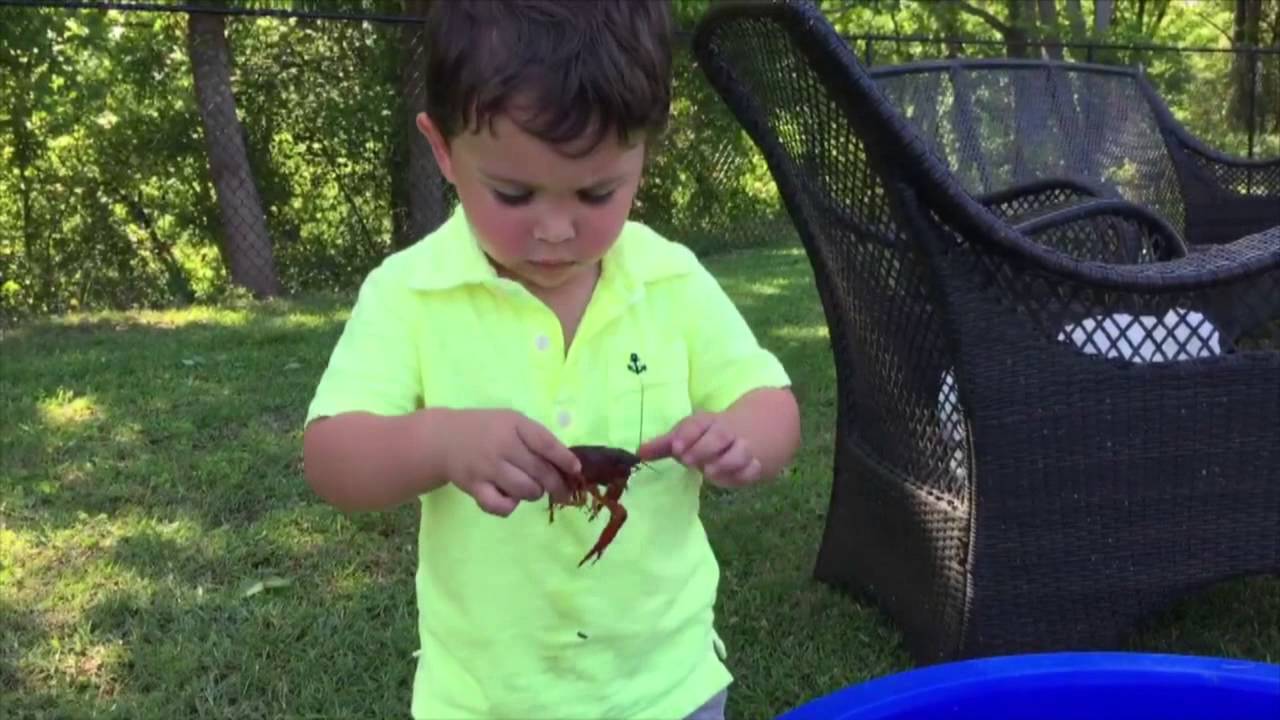 Kid Tries to Eat Live Crawdad - YouTube