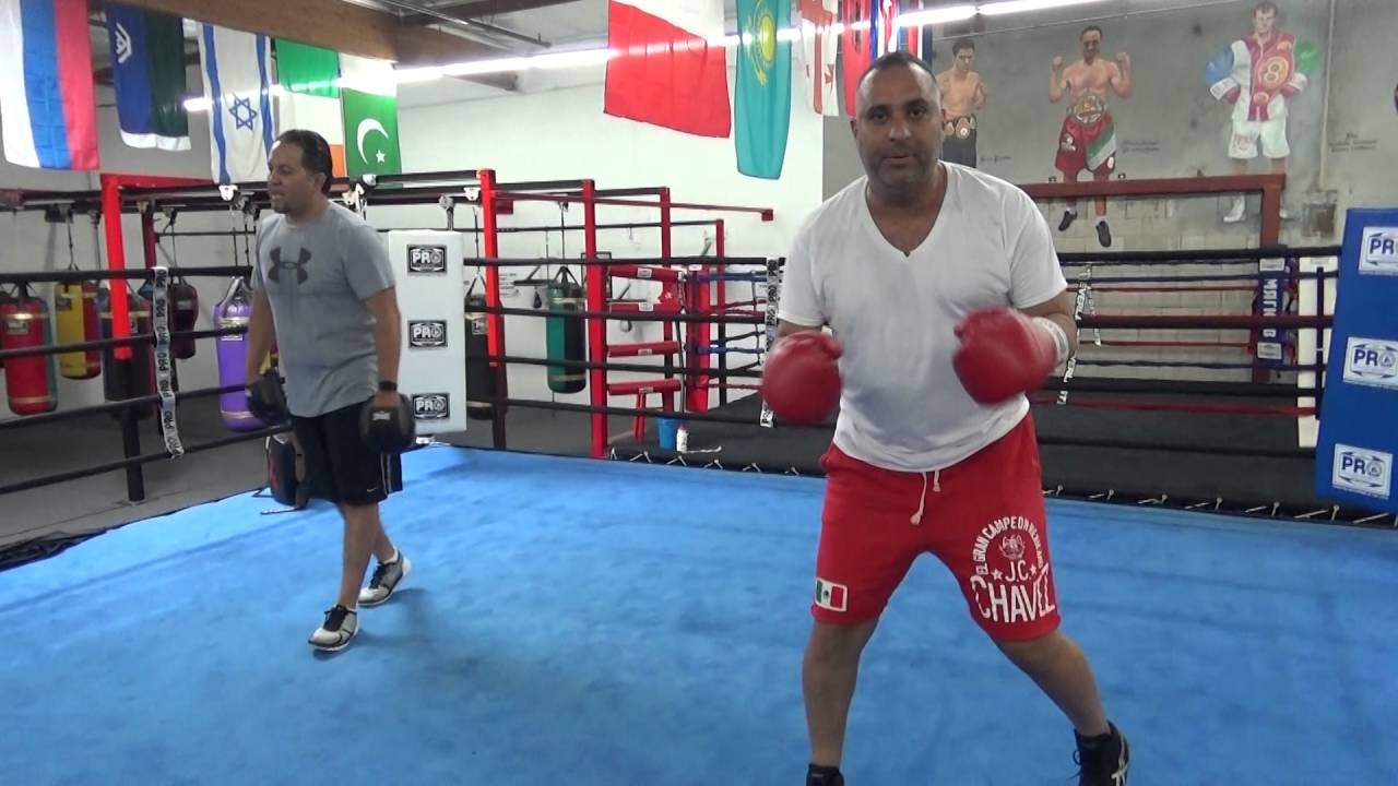 floyd maywetaher vs conor mcgregor comedian russell peters breaks it ...