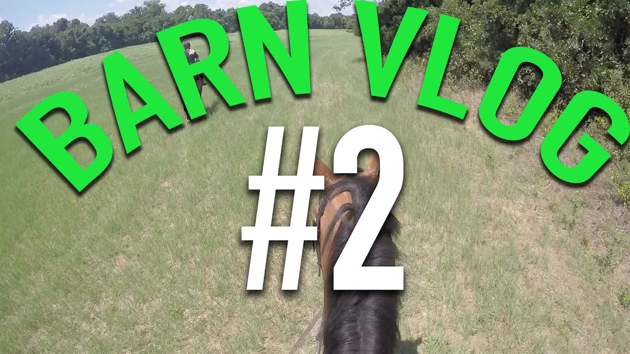 BARN VLOG #2 - YouTube