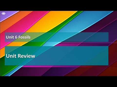 Unit 6 Unit Review - YouTube