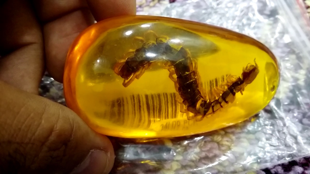 Insect inside amber from Banggood. - YouTube