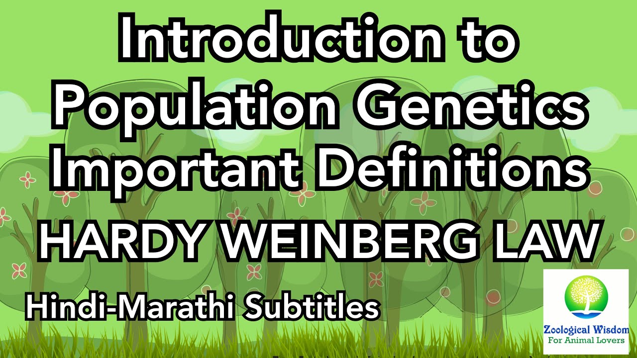 Population Genetics Definition