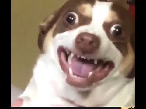 Send them to the ranch - YouTube