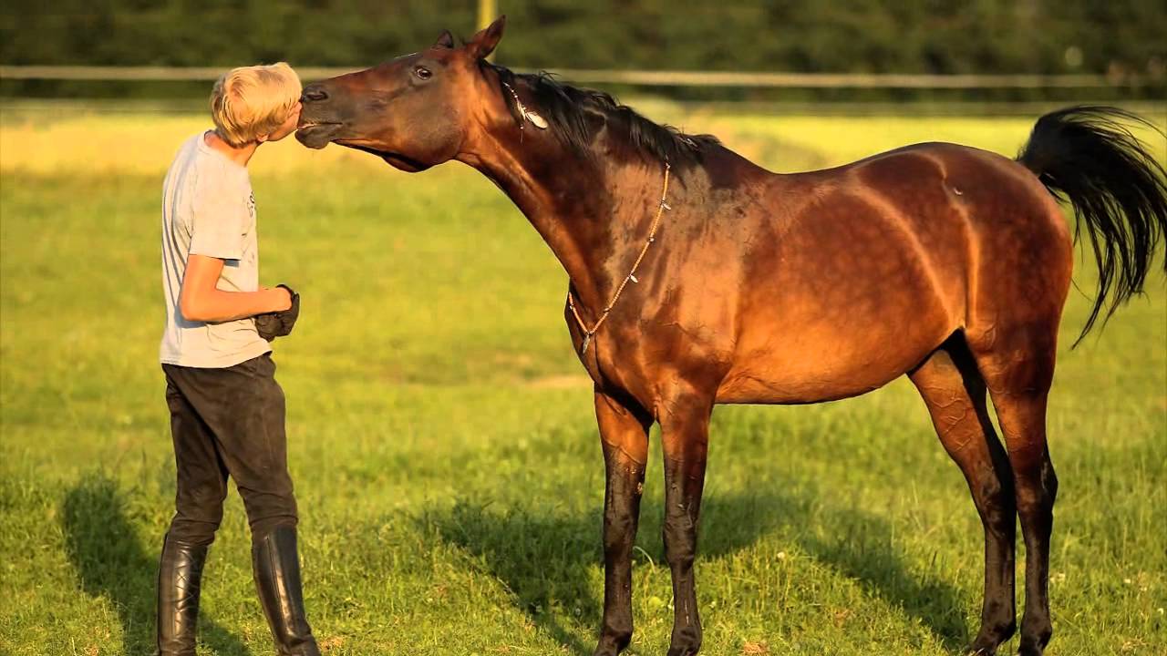 [PHOTOSHOOT] Jesse Drent & Andorra - YouTube