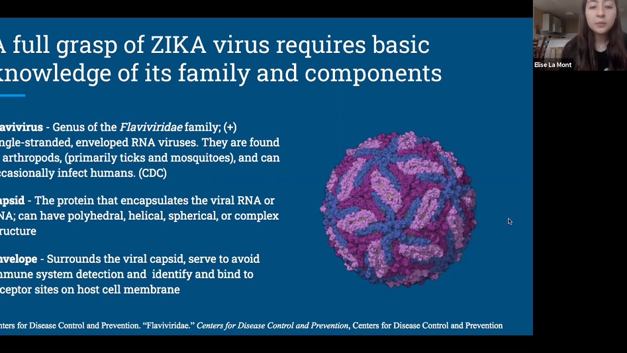 The Structure-Function Relationship of the Zika Virus Capsid Protein ...