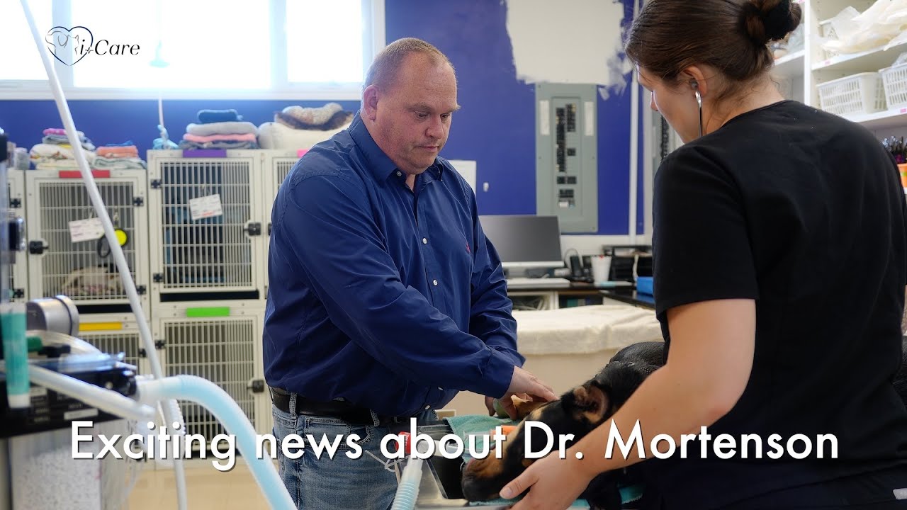 Exciting News about Dr. Rhett Mortenson's Orthopedic Surgery ...