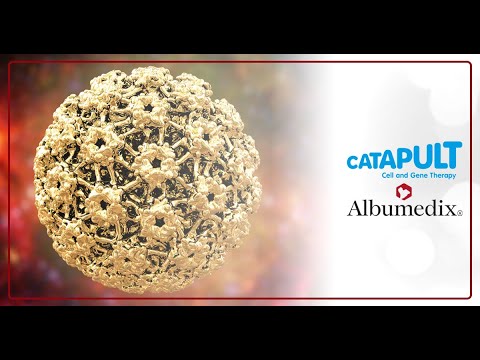 Albumedix enters into collaboration agreement with Cell and Gene ...