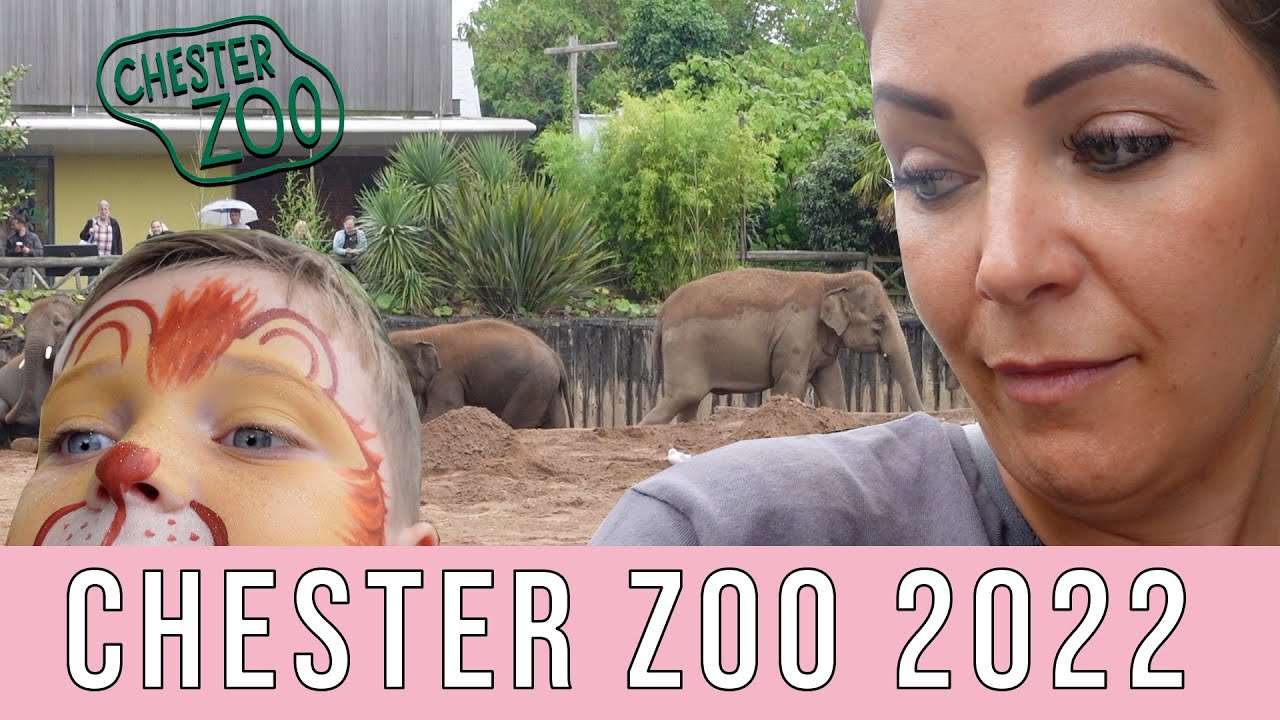Chester Zoo Day Out 2022 - COME AND EXPLORE WITH US - YouTube