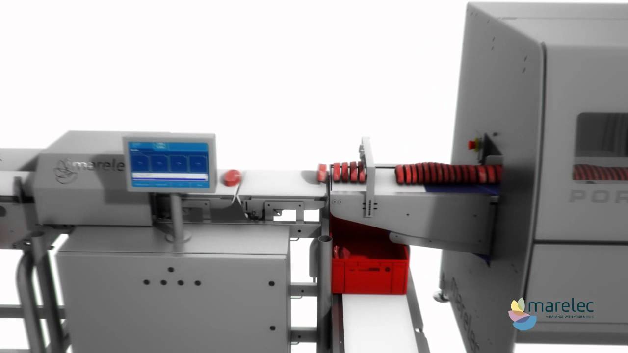 Marelec Chile - Portion Cutter and distribution system.mp4 - YouTube