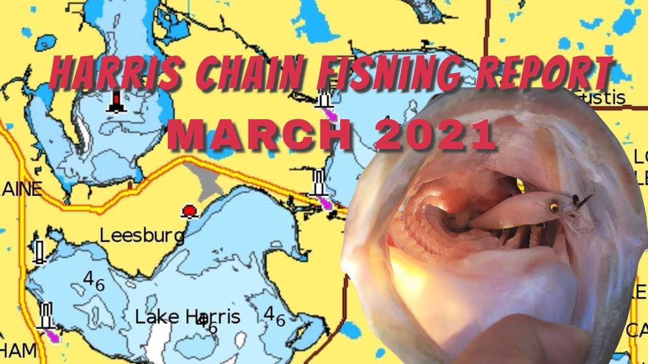 Harris Chain of lakes Fishing Report 2021 - YouTube