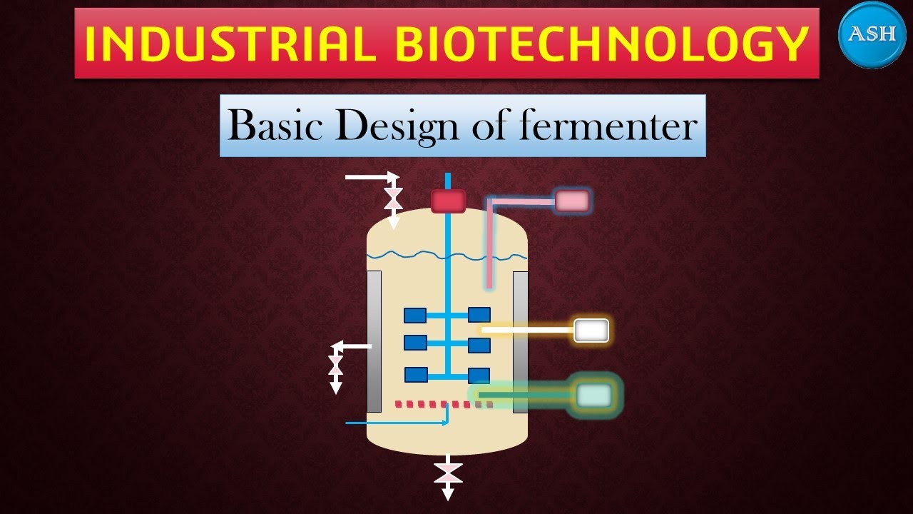|| Design of Fermenter || Industrial Biotechnology || - YouTube