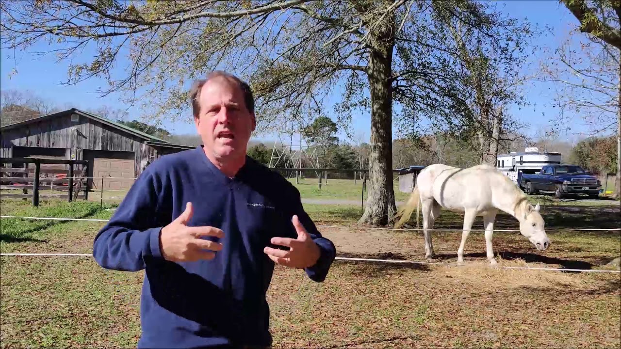 How Jesus describes himself - Devotional for Nov 17 - YouTube