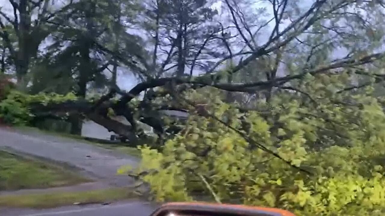 Huge tree comes crashing down in Gresham Park neighborhood - YouTube