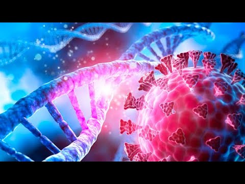 Biology Campbell - Chapter 7 - (7.5) - YouTube