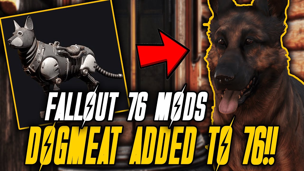 DOGMEAT Added to Fallout 76! | Fallout 76 Mods - YouTube