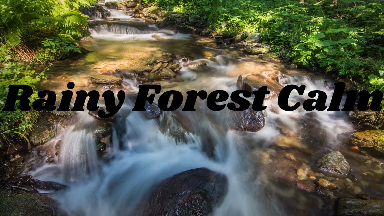 Rainy Forest Calm – 5 Min Soothing Rain | Whispering Fox Den - YouTube
