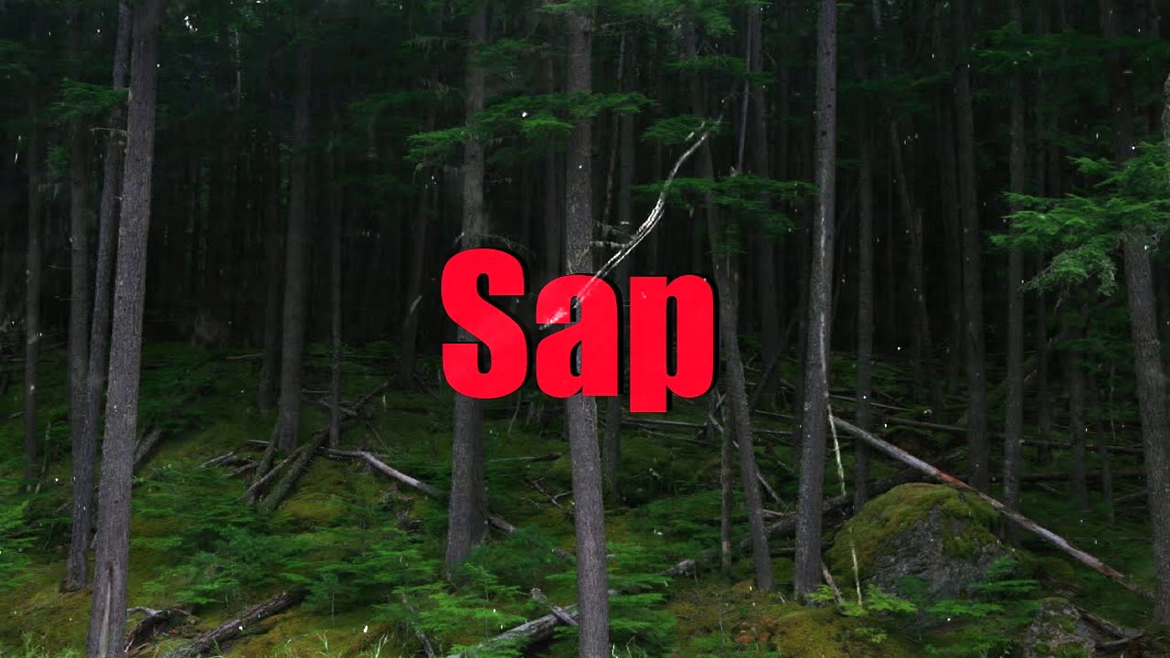 "Sap" Creepypasta - YouTube