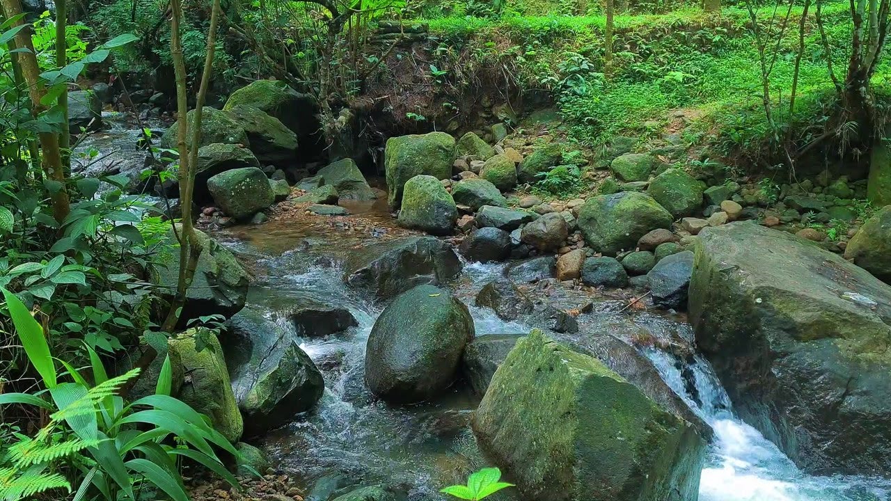 Peaceful River Water Flow – Gentle Sounds for Meditation - YouTube