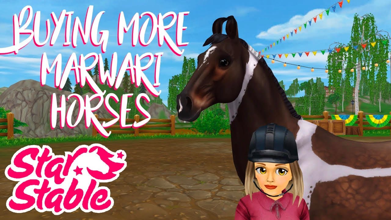Buying MORE NEW MARWARI horses - Star Stable Online Update - YouTube