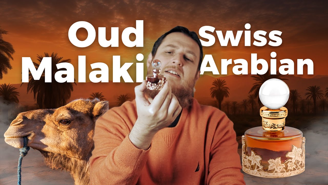 Oud Malaki Swiss Arabian - Did I find Oud in it or? - YouTube