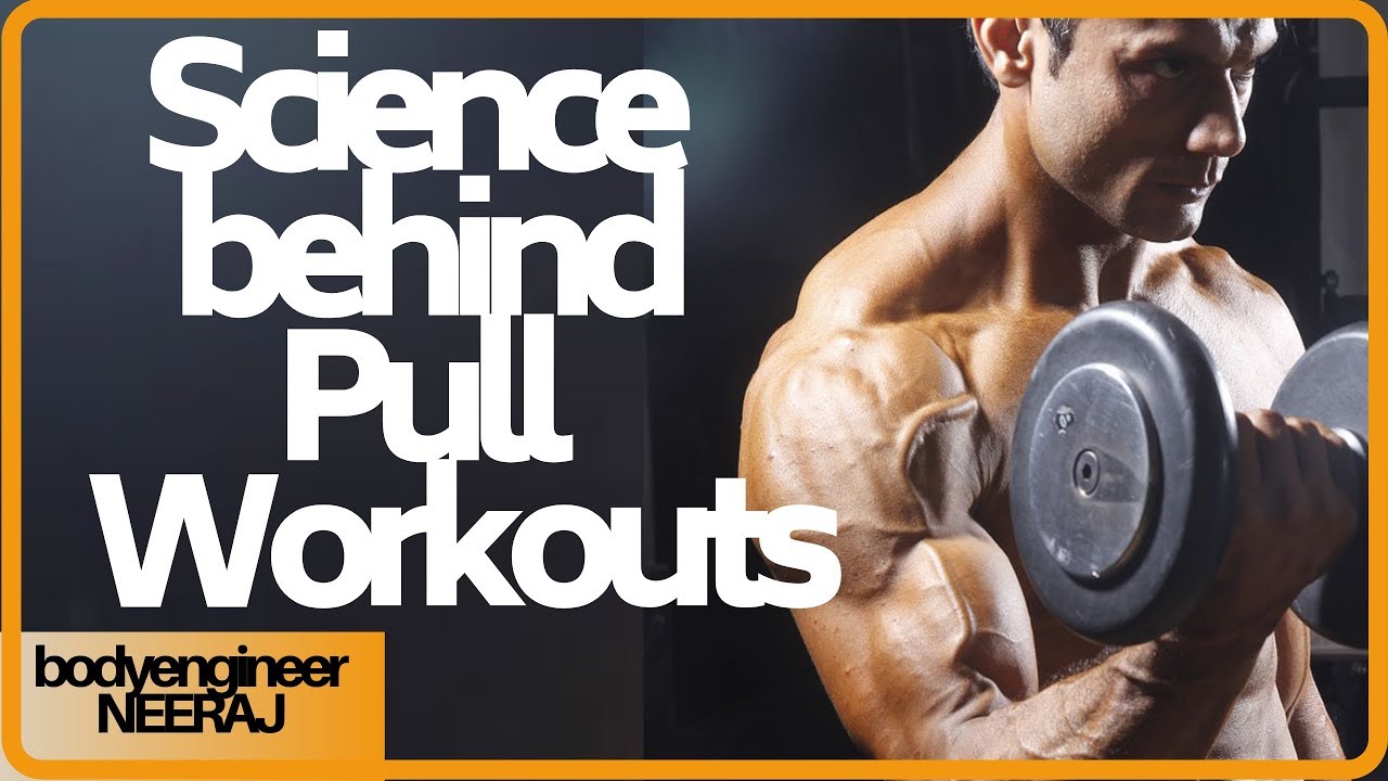 Science Behind Pull Workouts Explained | पुल वर्कआउट साइंस - YouTube