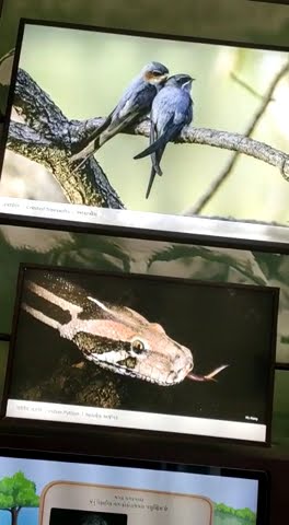 sardar vallabhbhai Patel museum # statue of unity inside museum - YouTube