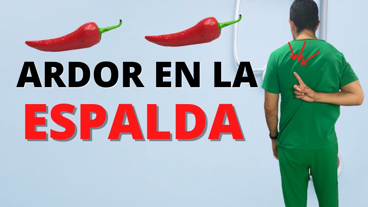 5 ejercicios para el ARDOR EN LA ESPALDA - YouTube