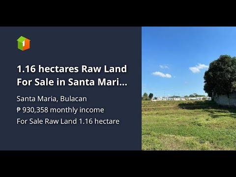 1.16 hectares Raw Land For Sale in Santa Maria Bulacan - YouTube