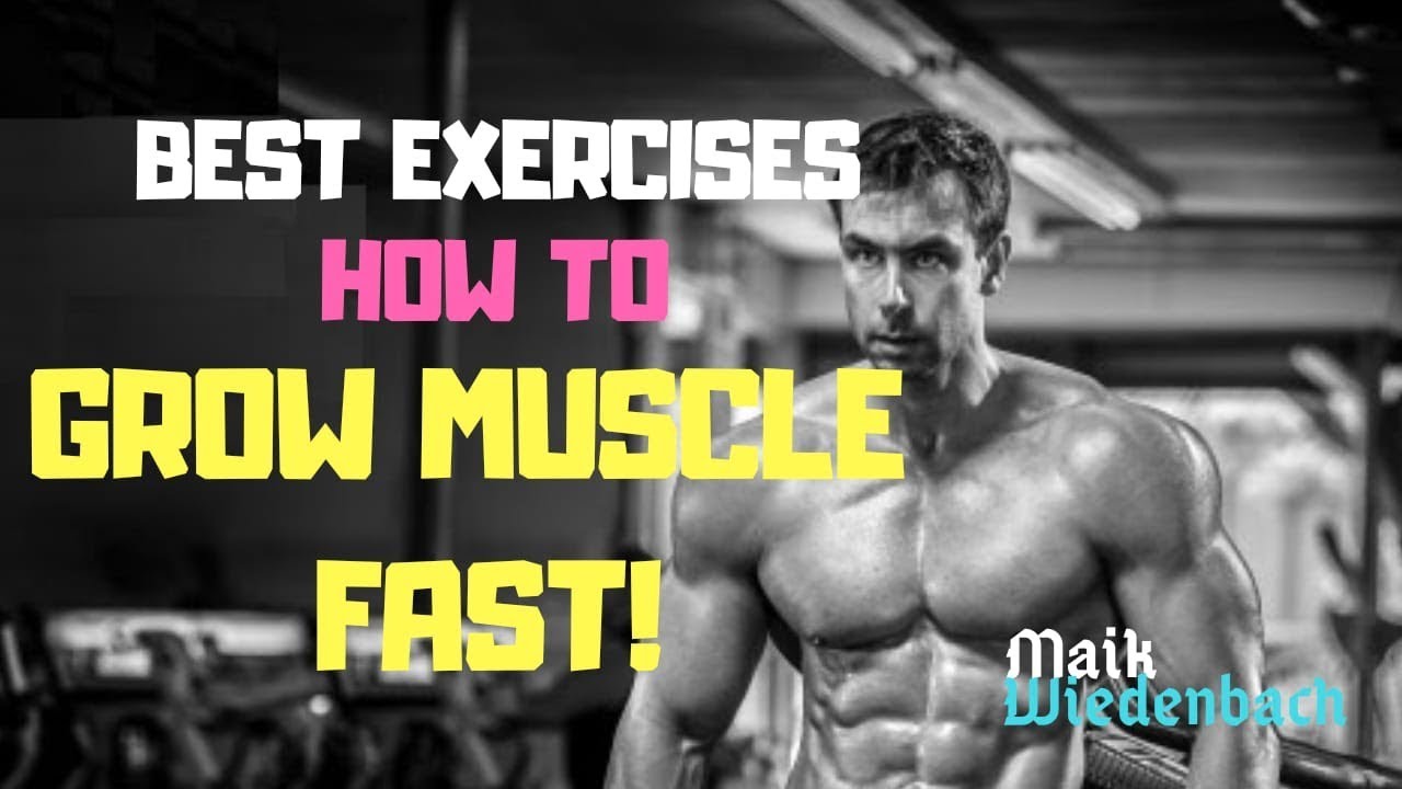 Best Exercises How to Build Muscle Fast! - YouTube