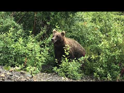 2023 Memorial Day Hymn Singing