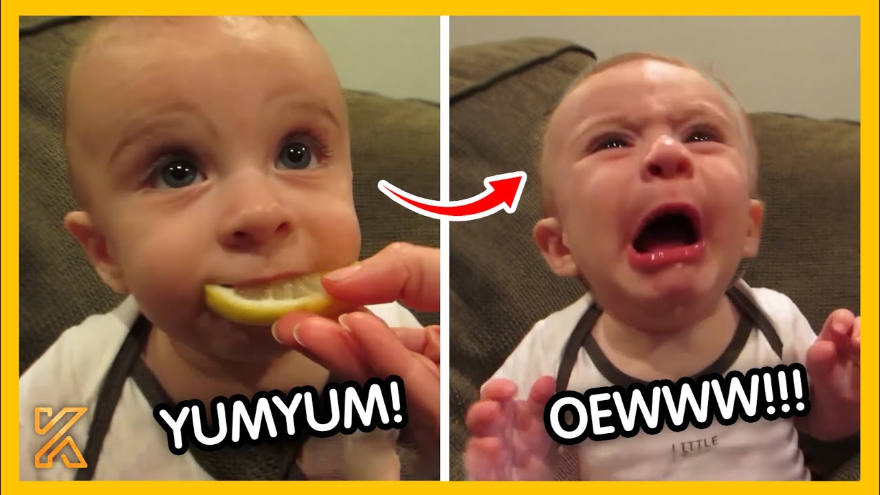 💕Babies Try Lemons For The First Time Compilation 2024 | Kingdom Of ...