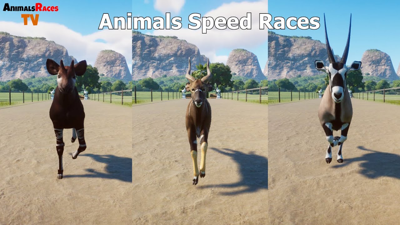 Wild Animals Speed Races in Planet zoo - Okapi, Nyala and Gemsbok - YouTube