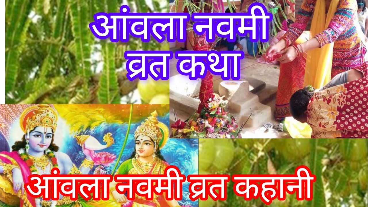 Amla Navami Ki Kahani आंवला नवमी की कथा | Amla Navami Ki Katha | आंवला ...