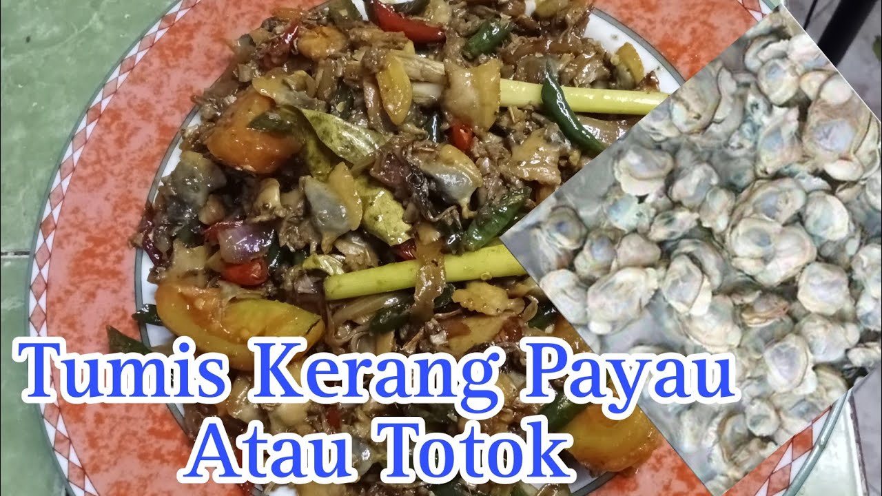 TUMIS KERANG PAYAU|TOTOK|TOE|Pedas,Manis Dan Gurih - YouTube