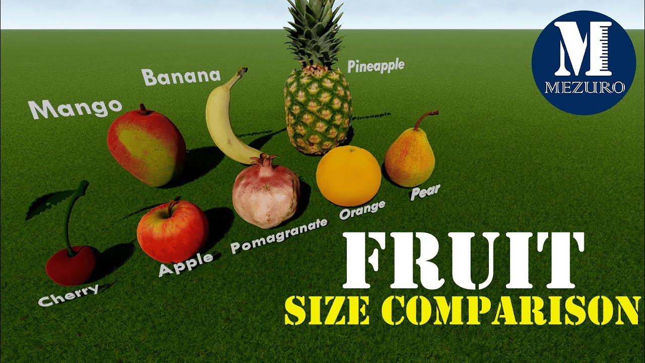 🍎 Fruit Size Comparison - YouTube