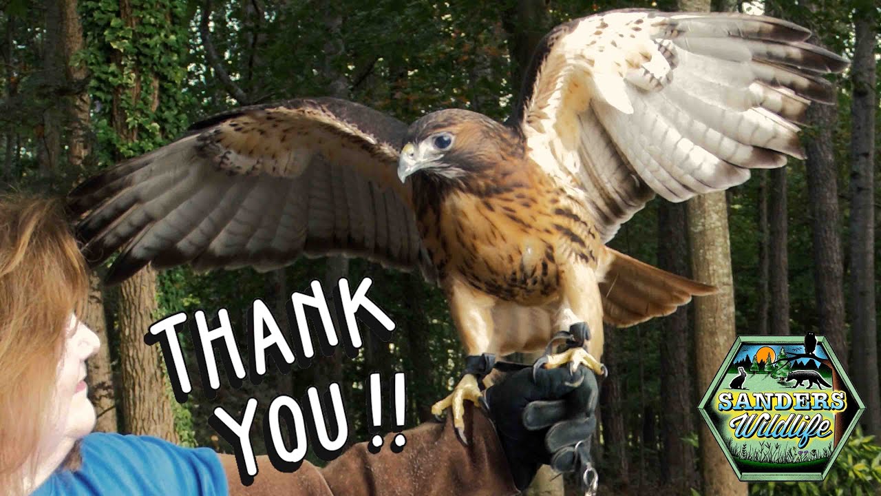 Thank You To Blue Ridge Raptors! - YouTube