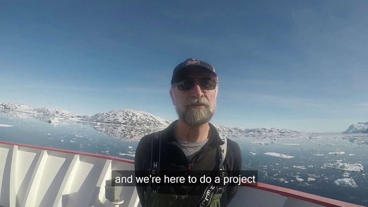 Shark Diary: Meet the team! - YouTube