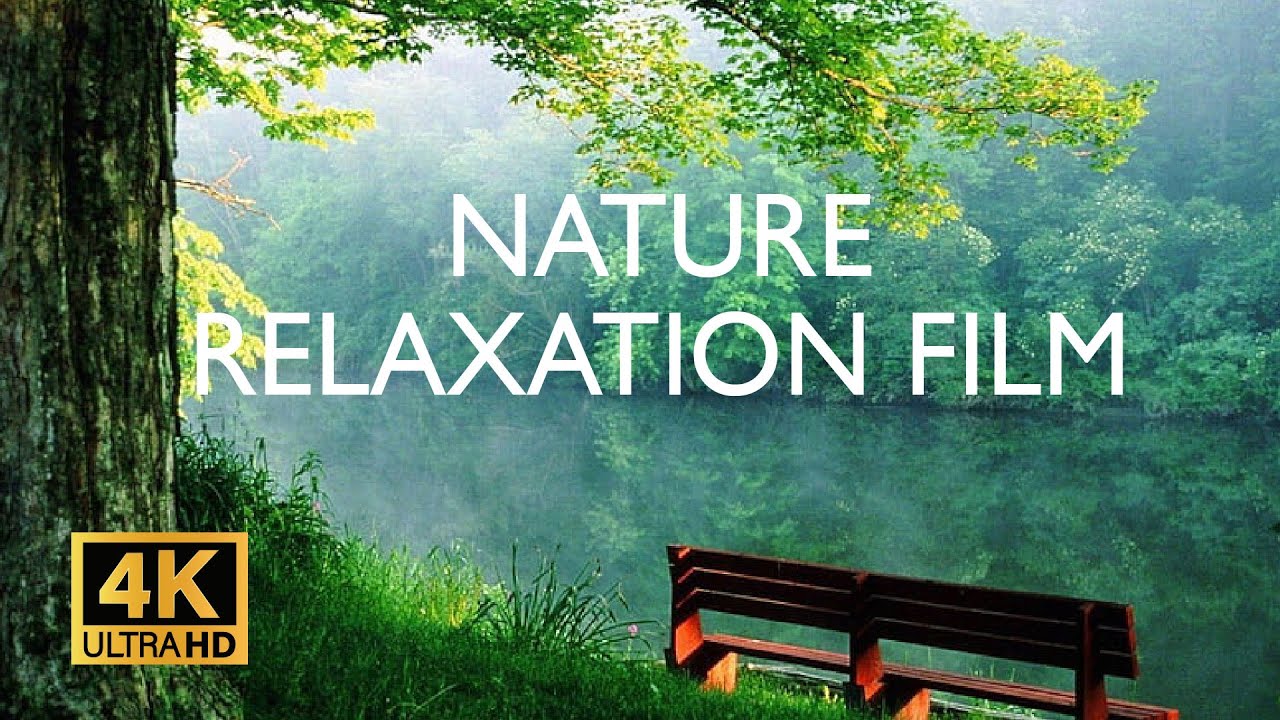 Amazing 4K Nature Relaxation Film - Relaxing Piano Music, Sleep Music ...