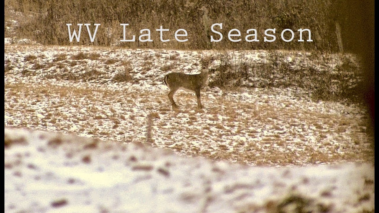 WV Late Season Deer Hunting-- Finally some success. - YouTube
