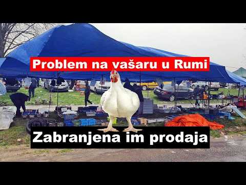 Problem u Rumi na vašaru
