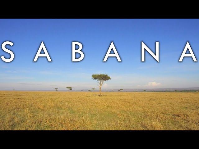 El Clima De La Sabana En áfrica