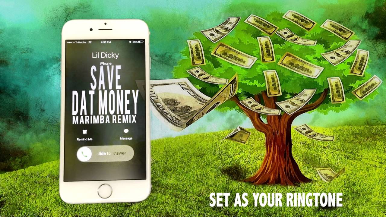 Lil Dicky Feat. Fetty Wap & Rich Homie Quan Save dat Money Marimba ...