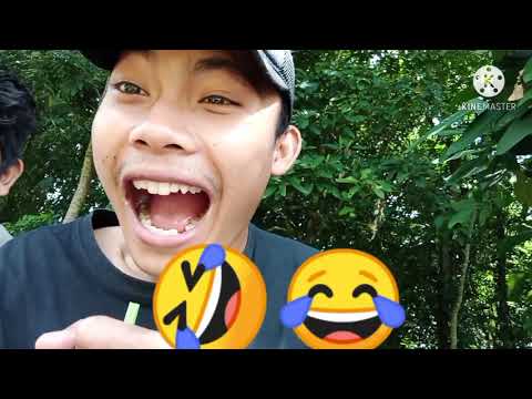 minum sape mucrat🤣🤣😂