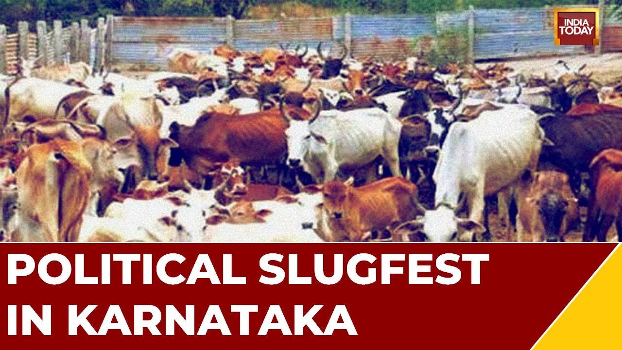 Move To Withdraw Anti-Cow Slaughter Act Triggers Political Slugfest In ...
