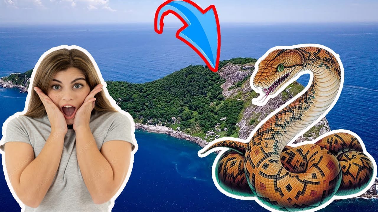 Very Dangerous and A lonely Snake 🐍 Island on our Planet | NATURAL ...