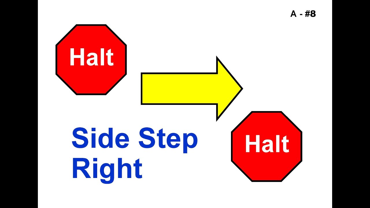 ANKC 2026 Rally Sign A8: Halt - Side-step Right – Halt (Advanced) - YouTube