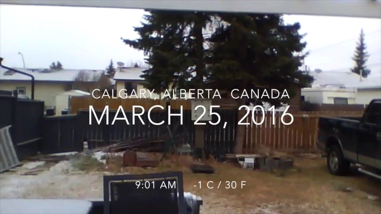 Calgary Weather March 25, 2016 - Rainy snow but not so cold - YouTube