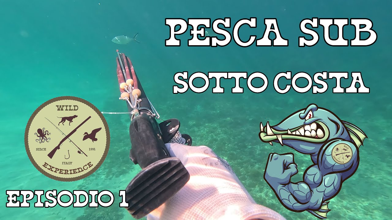 PESCA SUBACQUEA SOTTO COSTA EP.1 - SPEARFISHING- PÊCHE SOUS-MARINE ...