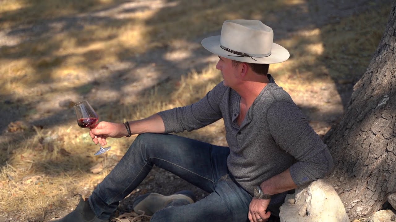 Austin Hope Cabernet Sauvignon 2020 // 750 ml (Set of 2) - Austin Hope ...